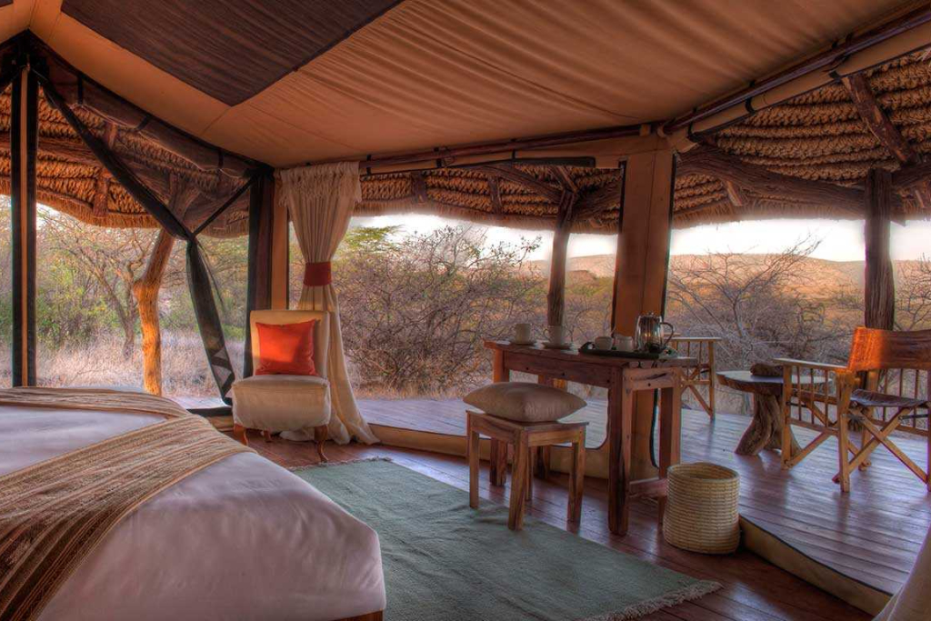 Your Africa | Great Migration, flamingos and tree-climbing lions